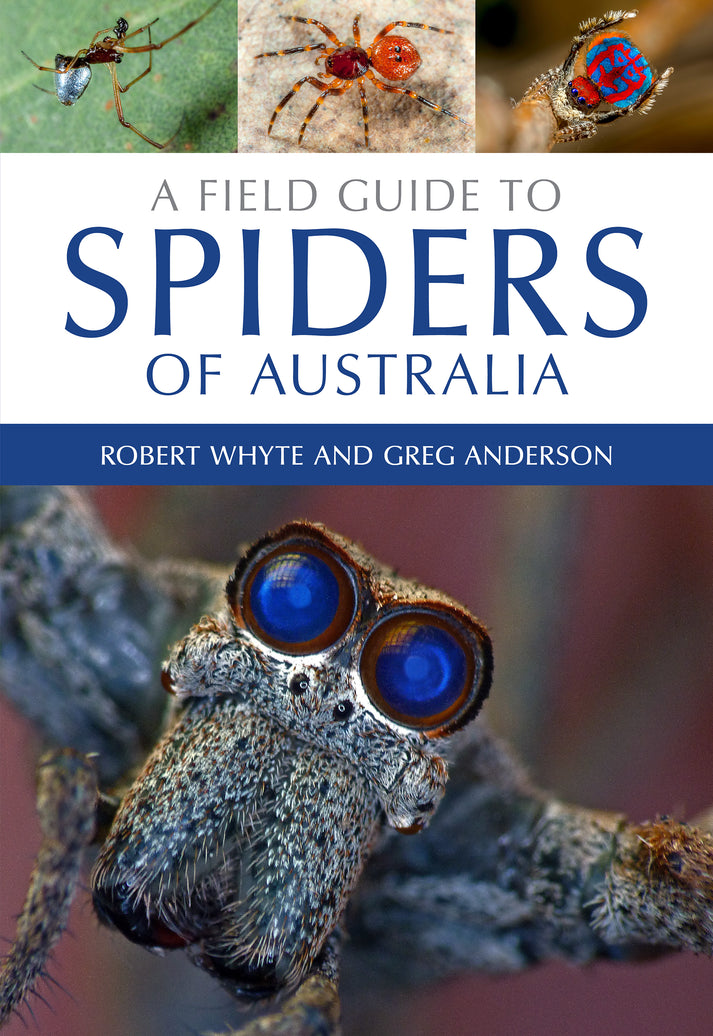 A Field Guide to Spiders of Australia by Robert Whyte & Greg Anderson ...