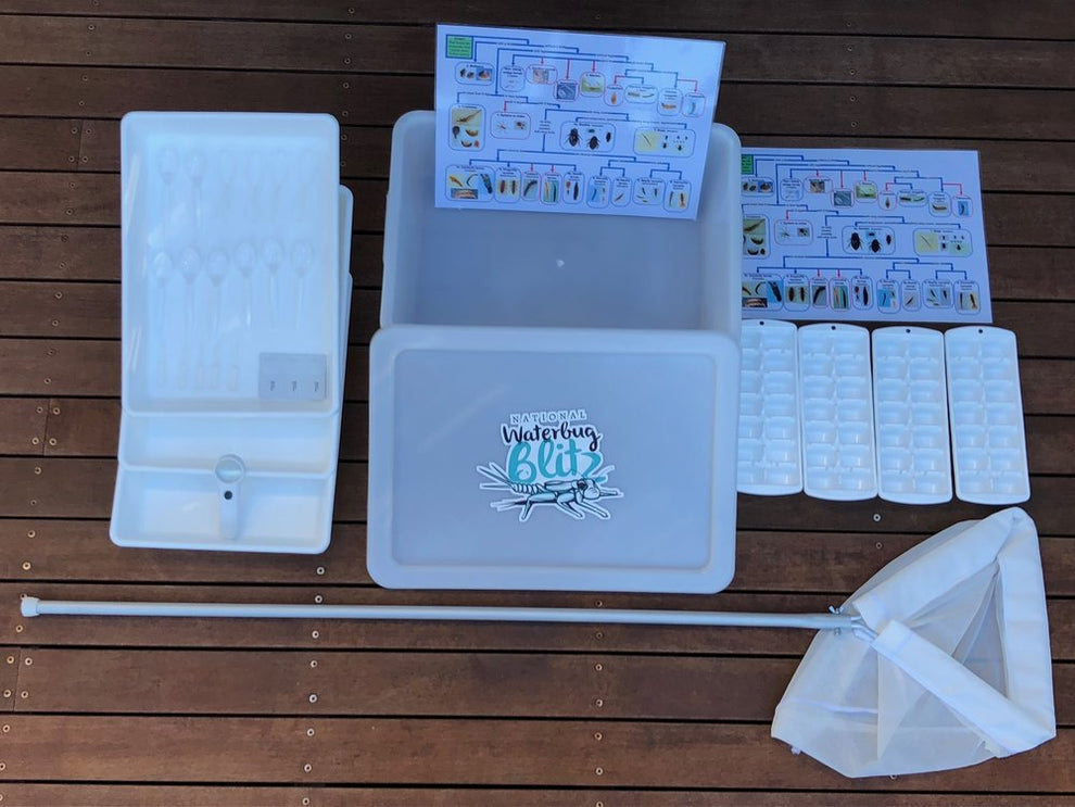 The National Waterbug Blitz Kit – Embrace Ecology